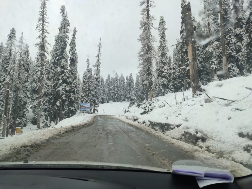 Best time to visit Gulmarg for Snow?
